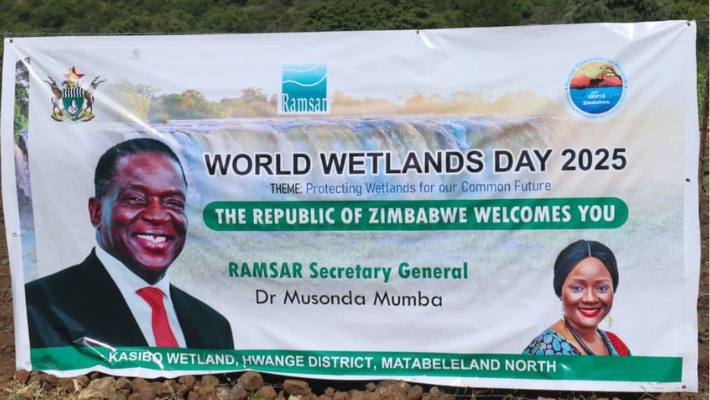 Zimbabwe steps up wetland protection efforts, says President Mnangagwa ...