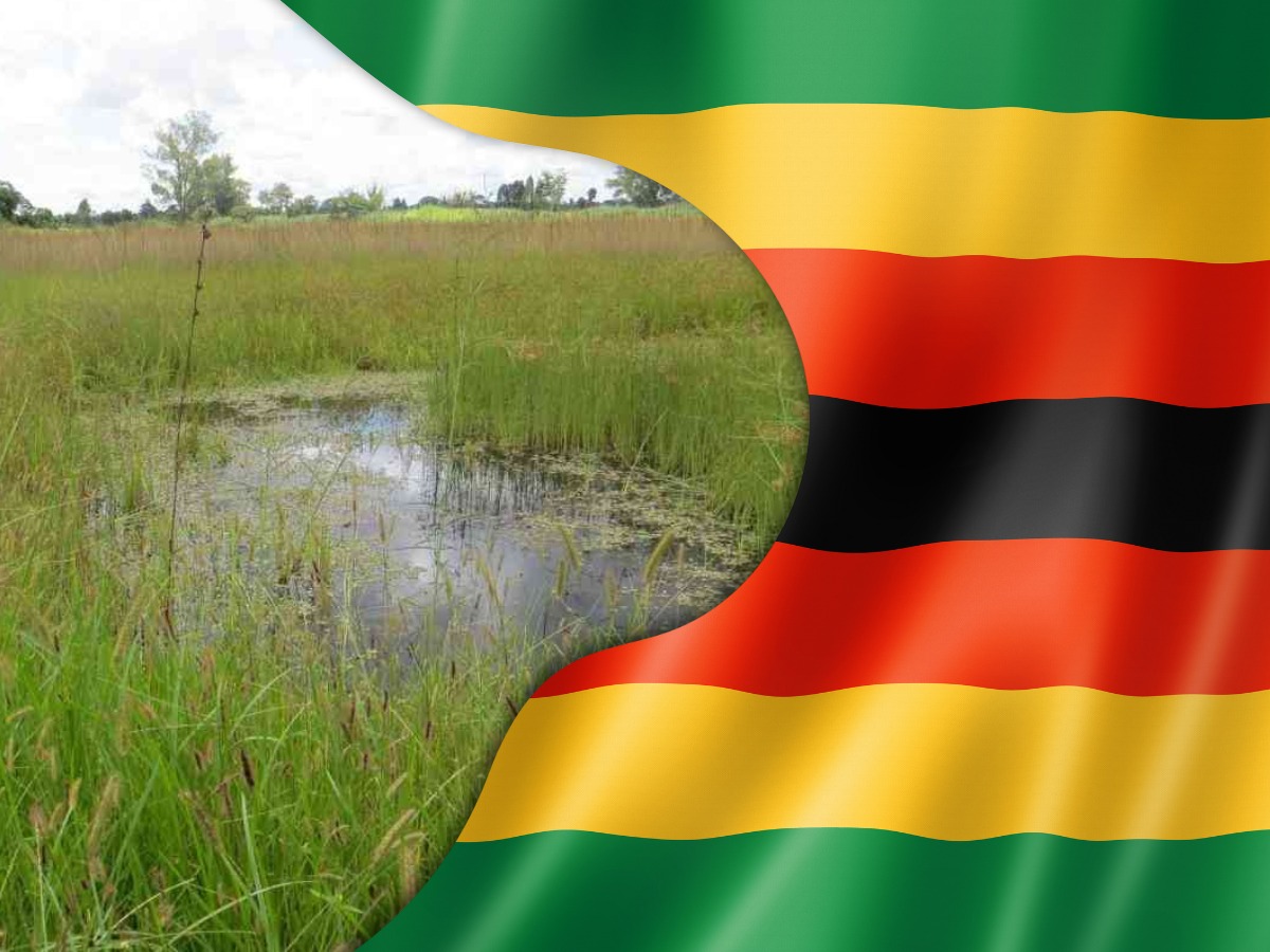 Zimbabwe’s Vision 2030 and its Commitment to Wetlands Conservation ...
