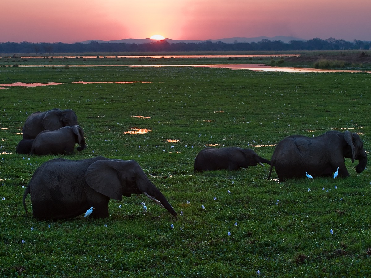 Zimbabwe’s Wetlands and the Ramsar Convention - COP15 | Victoria Falls ...